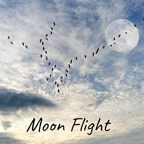 Amazon.com: Moon Flight : Dreams of Dreams: Digital Music