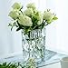 Amazon.com: Heavyweight Crystal Glass Flower Vase - Thick Flower ...