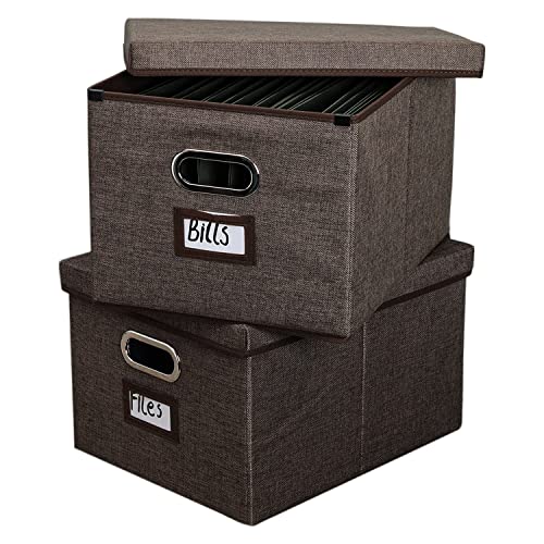 EasyPAG File Organizer Box Set of 2 - Collapsible Filing Cabinets Space ...