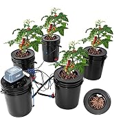 Amazon.com : RDWC Top Feed Drip Hydroponics Systems 6 Buckets ...