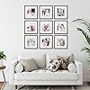 Amazon.com - Sheffield Home 9 Piece Gallery Wall Frame Set, 12x12 Inch ...