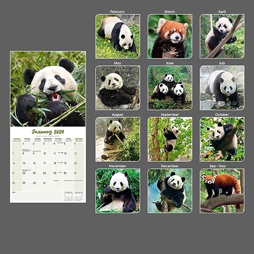 Snapklik.com : 2023 2024 Pandas - Cute Animal Monthly Wall Calendar ...
