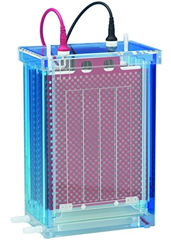 CBS Scientific Electrophoretic Tank Blotting System CE.: Amazon.com ...