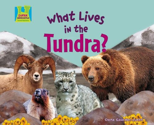 What Lives in the Tundra? (Animal Habitats) : Gaarder-Juntti, Oona ...