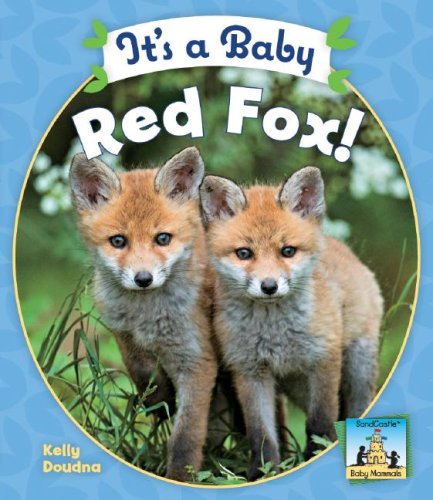 It's a Baby Red Fox (Baby Mammals): Doudna, Kelly: 9781604530315 ...
