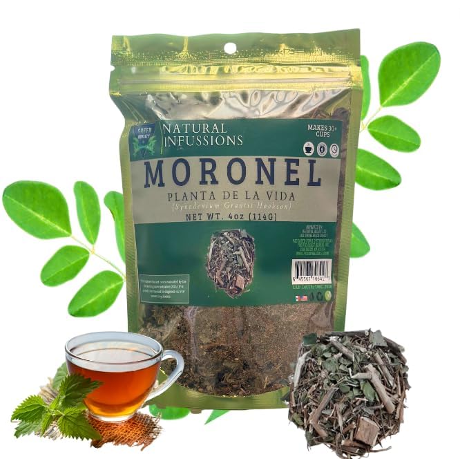 Amazon.com : Moronel (Planta De La Vida) - Net WT 114gr (4oz) | Stand ...