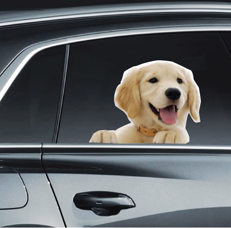 Amazon.com: Dog Car Window Decal Funny 3D Dog Decals for any Smooth ...