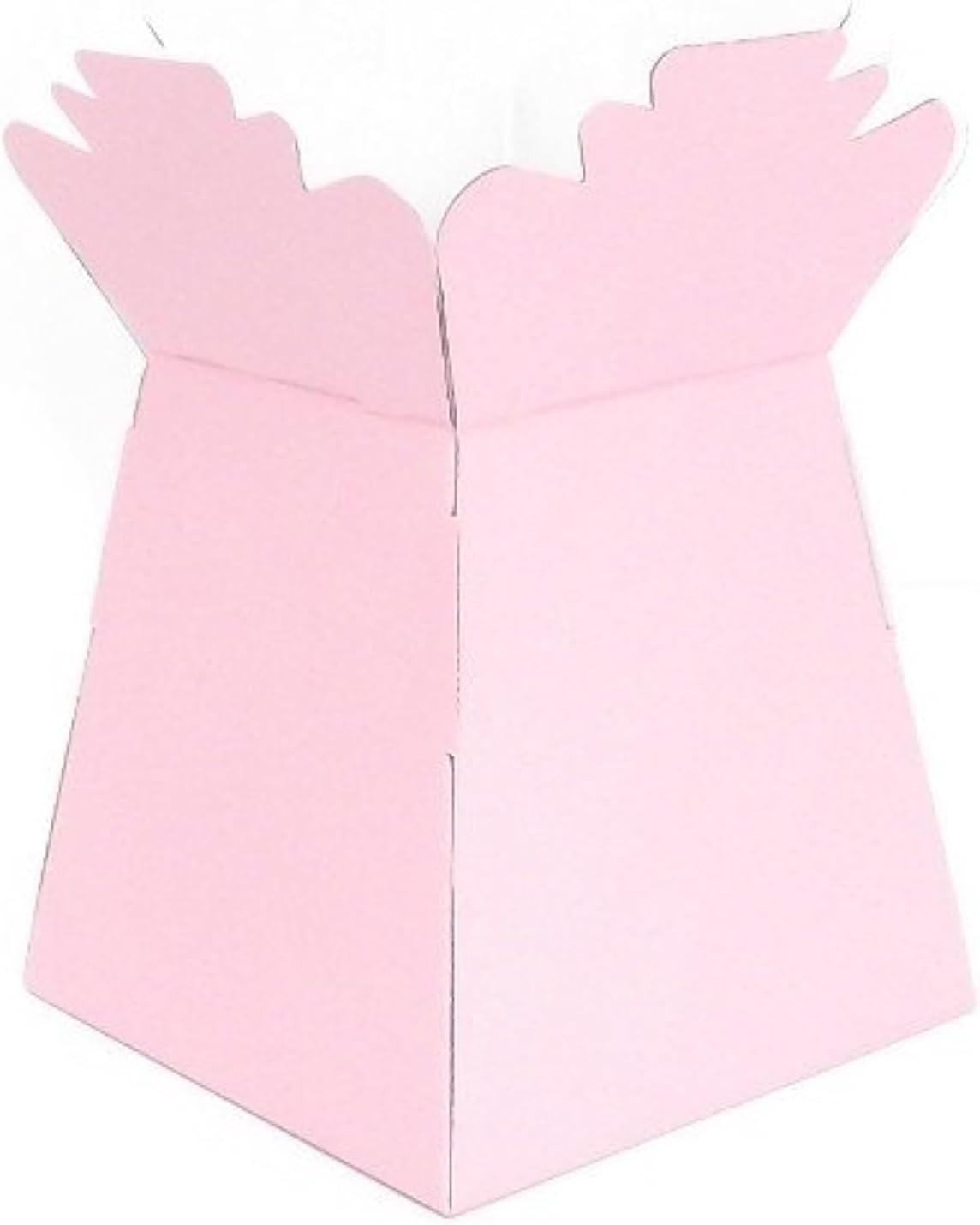 APAC Pink Living Vase Flower Box Flower Bouquet Transporter, Sweet Tree ...