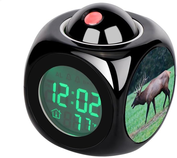 Amazon.com: Projection Digital Children Black Alarm Clock Temperature ...