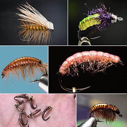 Snapklik.com : SF #16 Curved Nymph Scud Pupa Fly Tying Hooks Micro ...