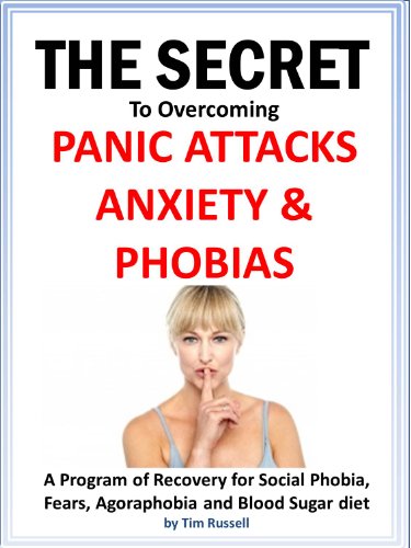 The Secret to overcoming Panic Attacks, Anxiety & Phobias - A Workbook ...