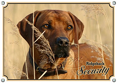 Rhodesian Ridgeback Schilder – Die 15 besten Produkte im Vergleich ...