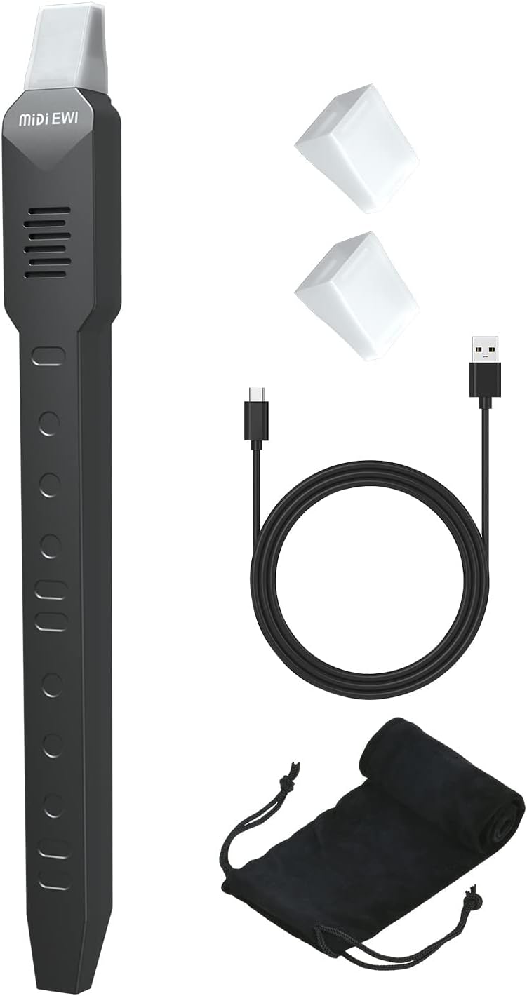 Amazon.com: Roland AE-10G Aerophone Digital Wind Instrument, Graphite ...