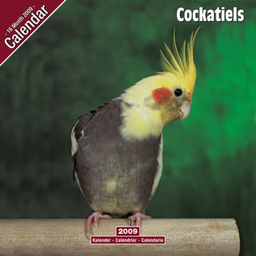 2009 Cockatiels Wall Calendar: Avonside Publishing: 9781846627330 ...