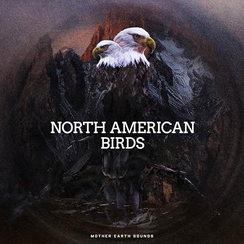 Play North American Birds by Mother Earth Sounds on Amazon Music