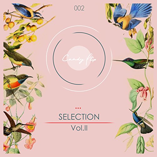 Amazon MusicでVARIOUS ARTISTSのCandy Flip Presents Selection Vol.2を再生する