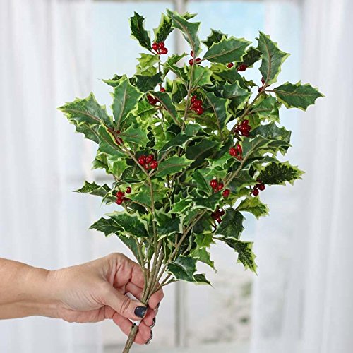 Artificial Holly Shrub Why Many Holly Wreaths Will Be Without Real