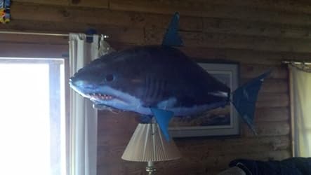 Amazon.com: Air Swimmers Inflatable Flying Shark : Toys & Games