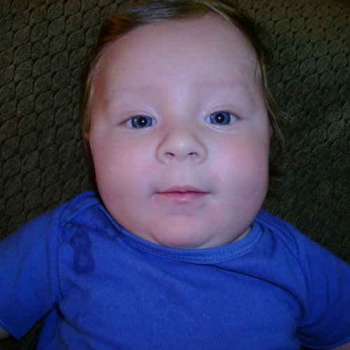 Amazon.com: Degrees of Black : Dust For Life: Digital Music