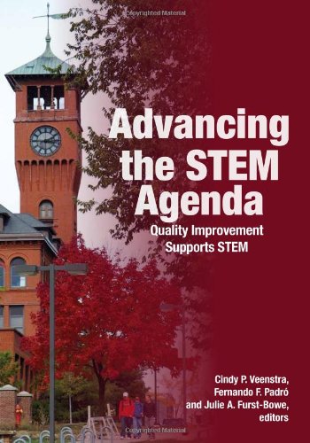 Buy Advancing the STEM Agenda: Quality Improvement Supports STEM ...