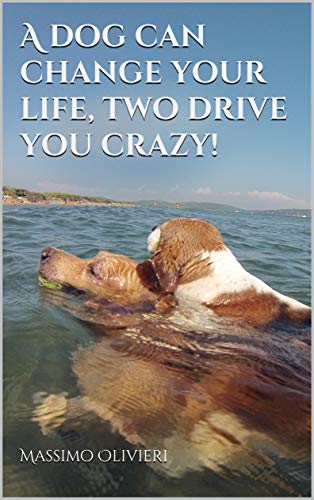 Can A Dog Change Your Life