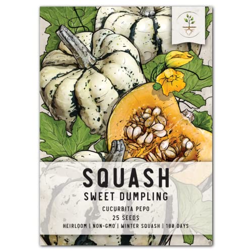 Sweet dumpling squash plant - How to grow & care