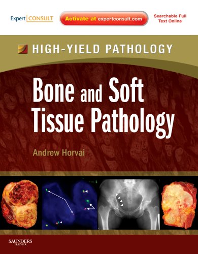 Bone and Soft Tissue Pathology: A Volume in the High Yield Pathology ...