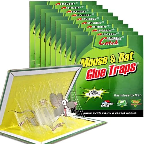Amazon.com : 10 Pack Large Mouse Glue Traps with Enhanced Stickiness ...