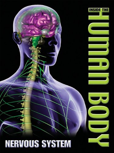 Amazon | Nervous System (Inside the Human Body) | Parker, Steve ...