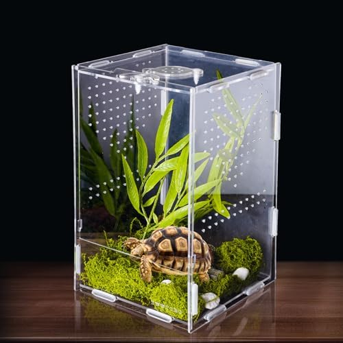 Amazon.com : Jumping Spider Enclosure, Acrylic Insect Terrarium, Bug ...