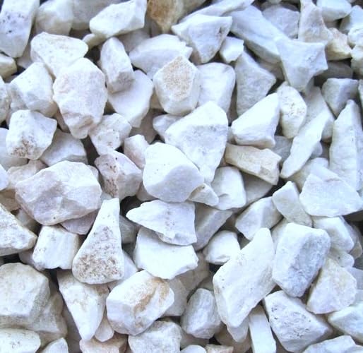Gardens Decorative Cream Polar Ice WHITE Coloured Stones Pebbles ...