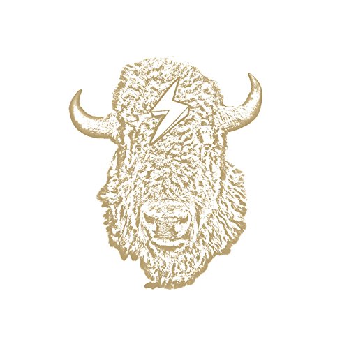 Amazon.co.jp: Buffalo Thunder : Daniel Kushnir: デジタルミュージック