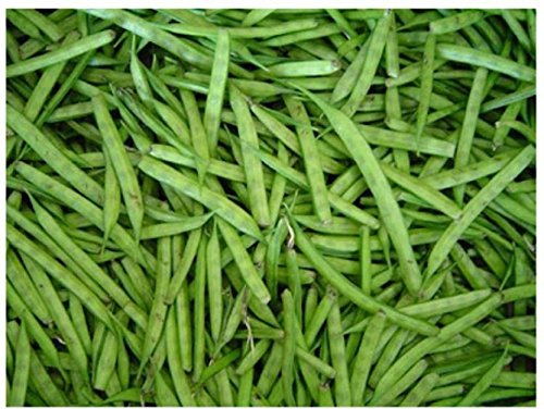 Ecoware Hybrid-Gavarfali Plant Seeds, (1 Pack X 50 Seeds) : Amazon.in ...