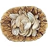 Amazon.com: Heyiwell 4OZ White Pearl Donkey Ear Abalone Shells, Natural ...