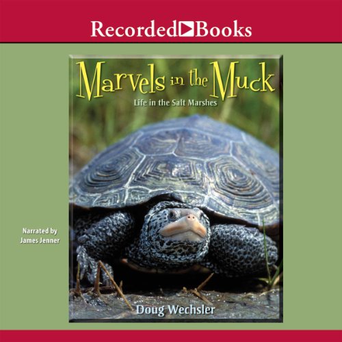 Amazon.com: Marvels in the Muck (Audible Audio Edition): Doug Nordhielm ...