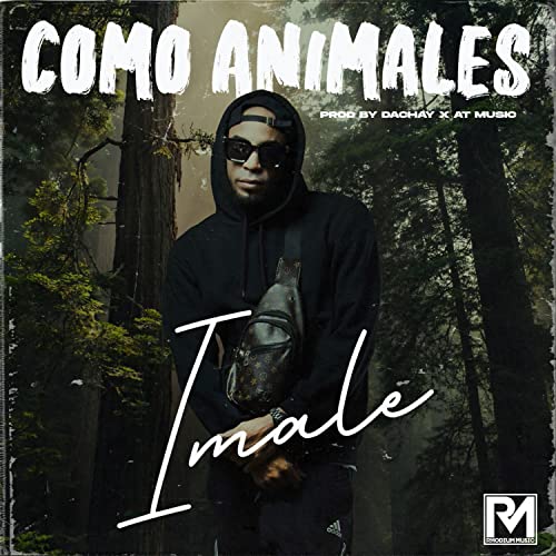 Amazon.co.jp: Como Animales : Imale and Dachay Indica: Digital Music