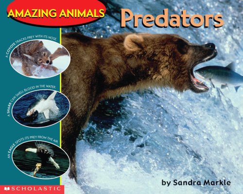 Predators (Amazing Animals): Markle, Sandra: 9780439356152: Amazon.com ...