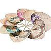 Amazon.com: 5PCS Natural Raffia Hand Fans Handmade Hand Weaving Fan ...