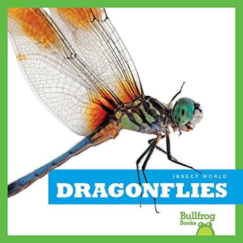 Amazon.com: Dragonflies (Bullfrog Books: Insect World): 9781620314685 ...