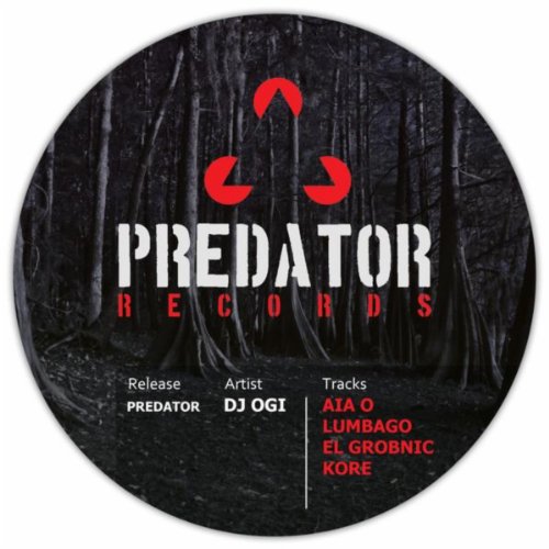 Amazon.com: Aia O : Dj Ogi: Digital Music