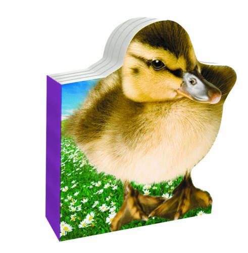 Buy Duckling (Peep Through Board Books) Book Online at Low Prices in ...