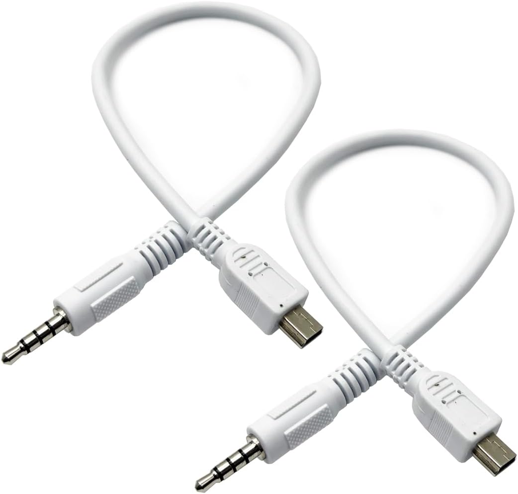 Amazon.com: Wpeng Qaoquda (2-Pack) Mini USB Male to 3.5mm Female Audio ...