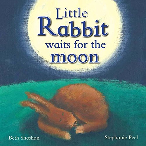 Little Rabbit Waits For The Moon: Parragon Books: 9781472314062: Amazon ...