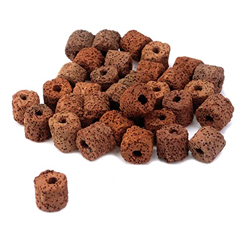 Top 10 Root Tabs for Aquatic Plants: A Comprehensive Buying Guide ...