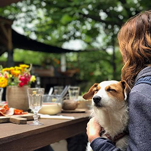 Play Piano Jazz - Ambiance for Calming Your Dog by Dog Jazz Sounds on ...