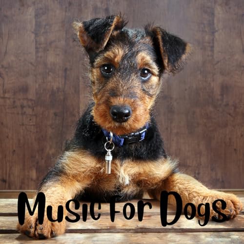 Play Music For Dogs by Music For Dogs, Music For Dogs Peace, Relaxing ...