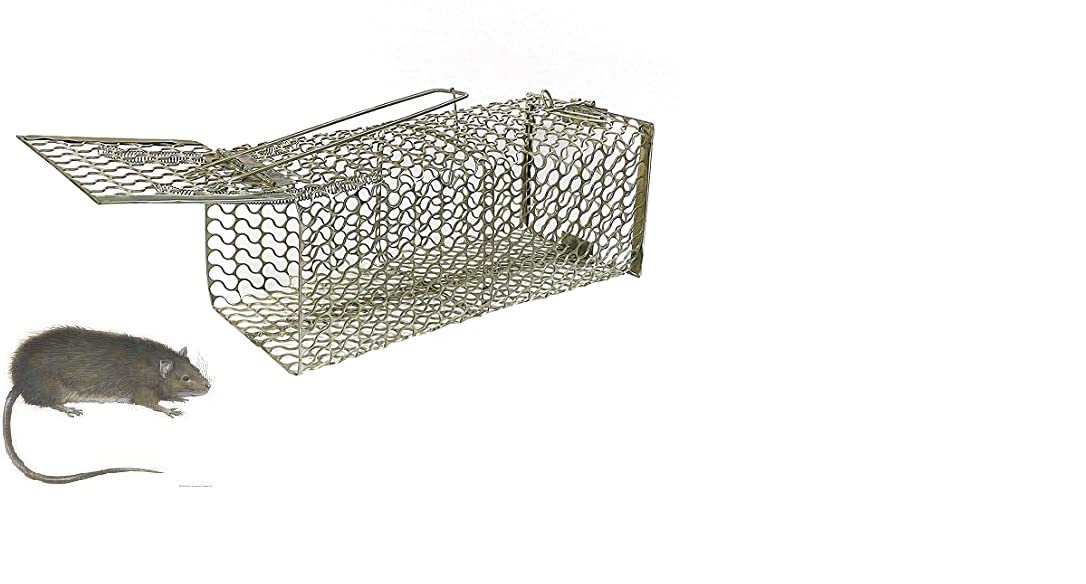 EaglesFord® Rat/Mouse/Rodent Trap Cage Rustic Copper (Chain Trap ...