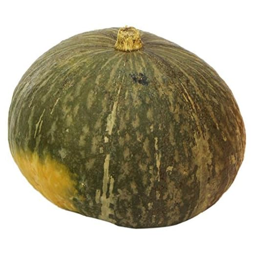 How to cook kabocha squash on the stove - Metro Cooking Dallas