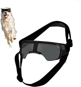 Amazon.com : TUWODE Cool Sun Goggles for Pets, Small Dog Goggles UV ...