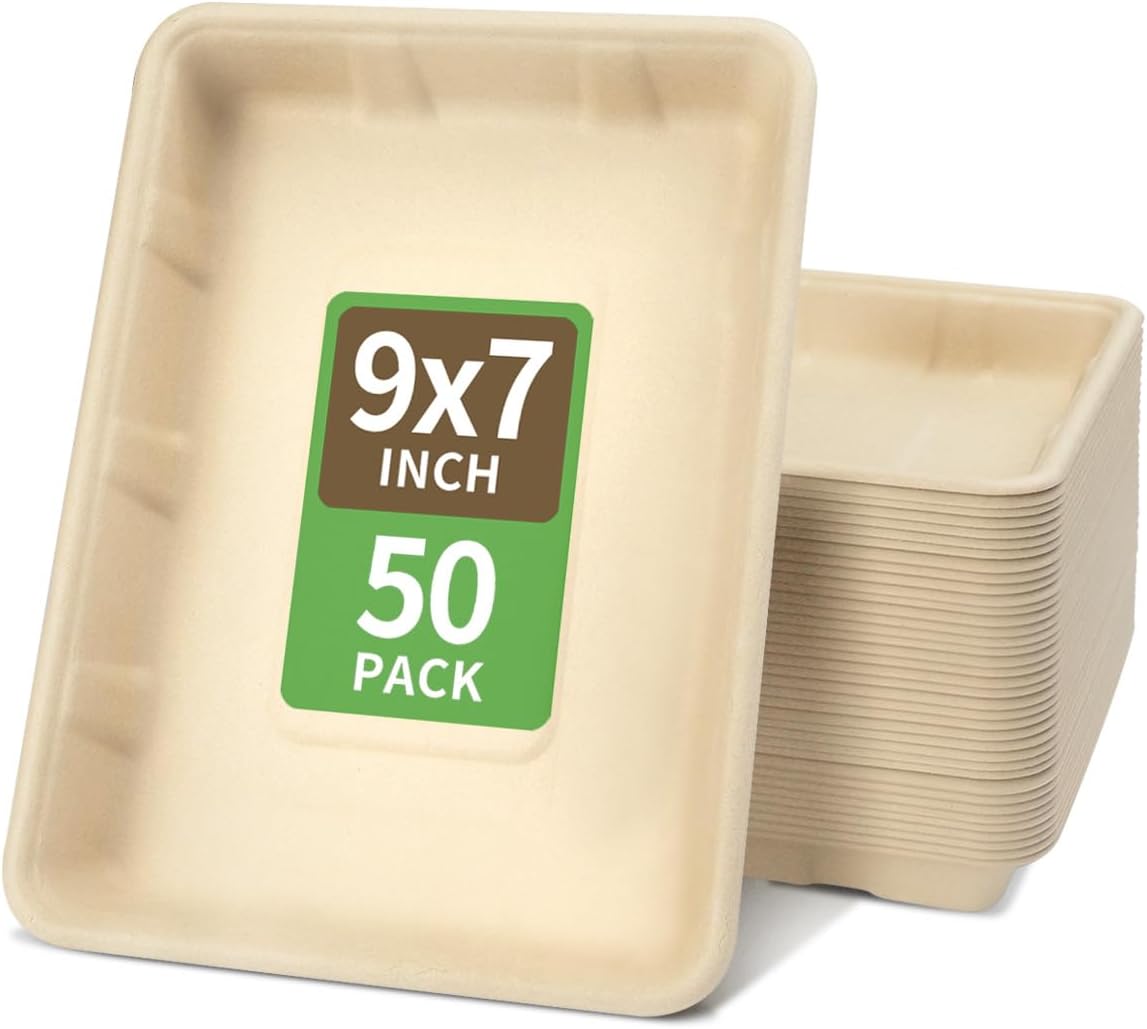 Amazon.com: Biodegradable Sugarcane Bagasse Plates - Rectangle - 10" x ...